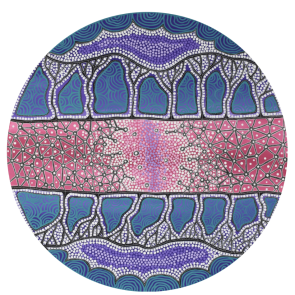 Yamaji Art | Midwest WA Aboriginal Art Centre Geraldton